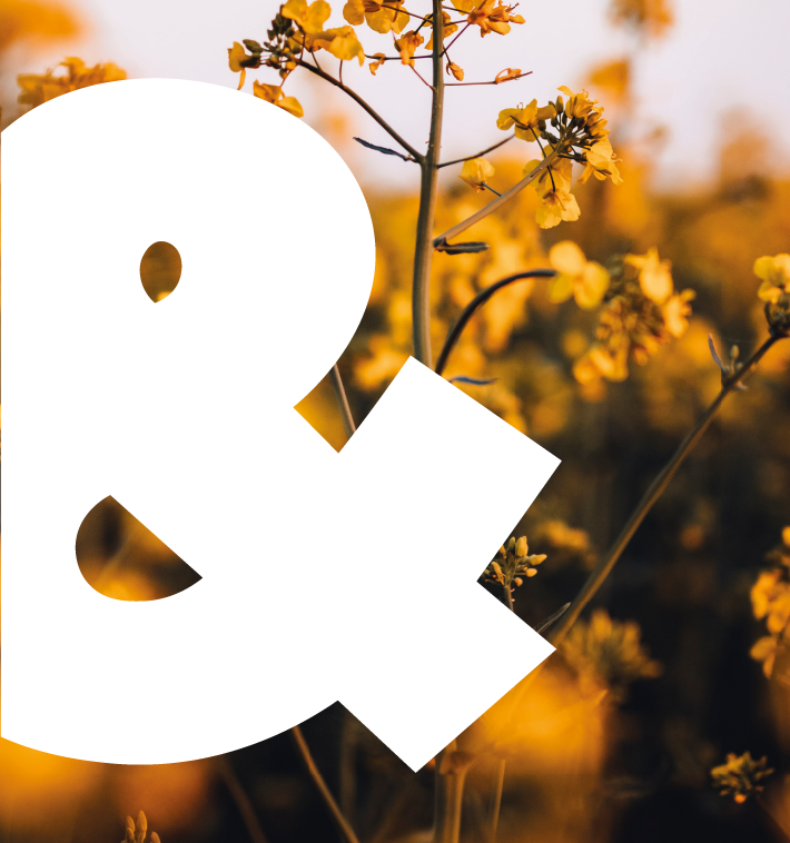 Promoting local & accessible food - Avril